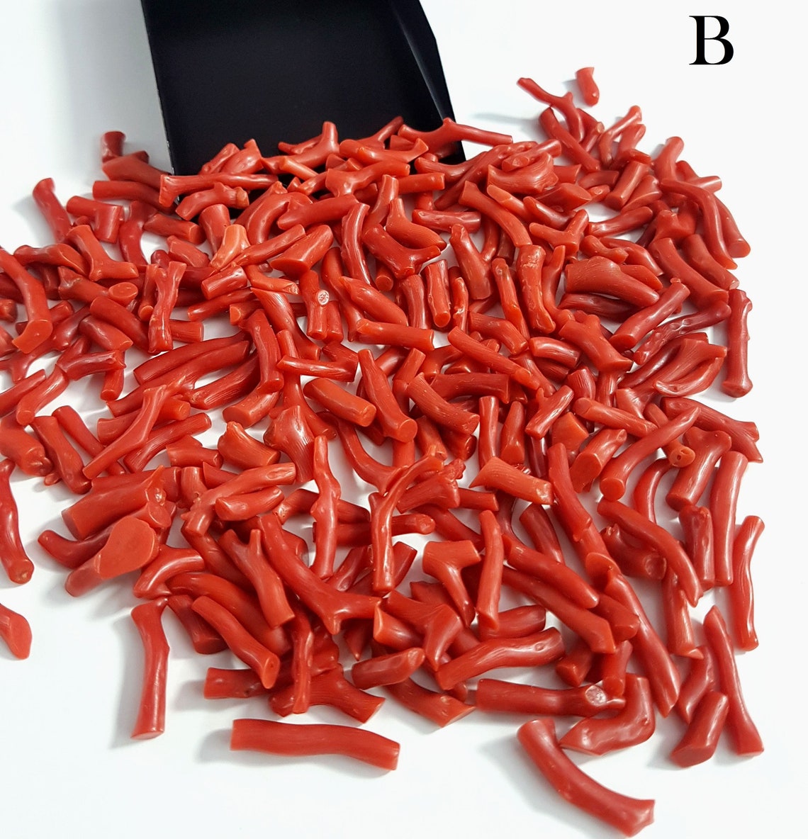 10 Pieces Natural Red Coral Rough Branches Tree Raw Coral - Etsy