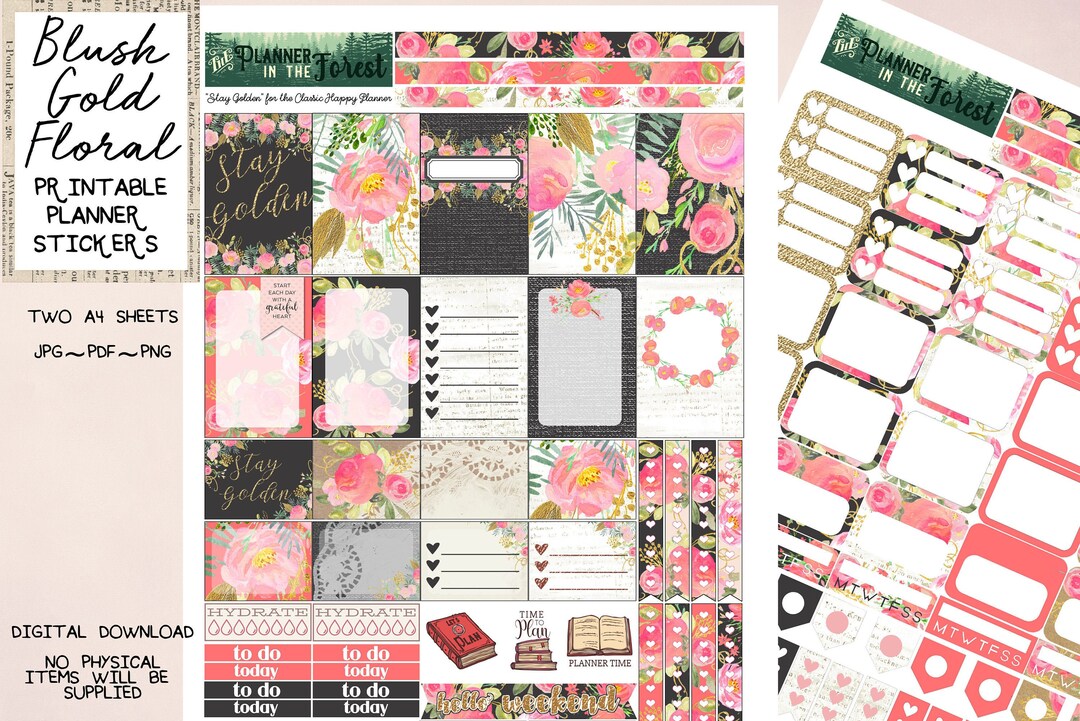 BLUSH GOLD FLORAL ~ Printable Planner Stickers for Classic Happy ...