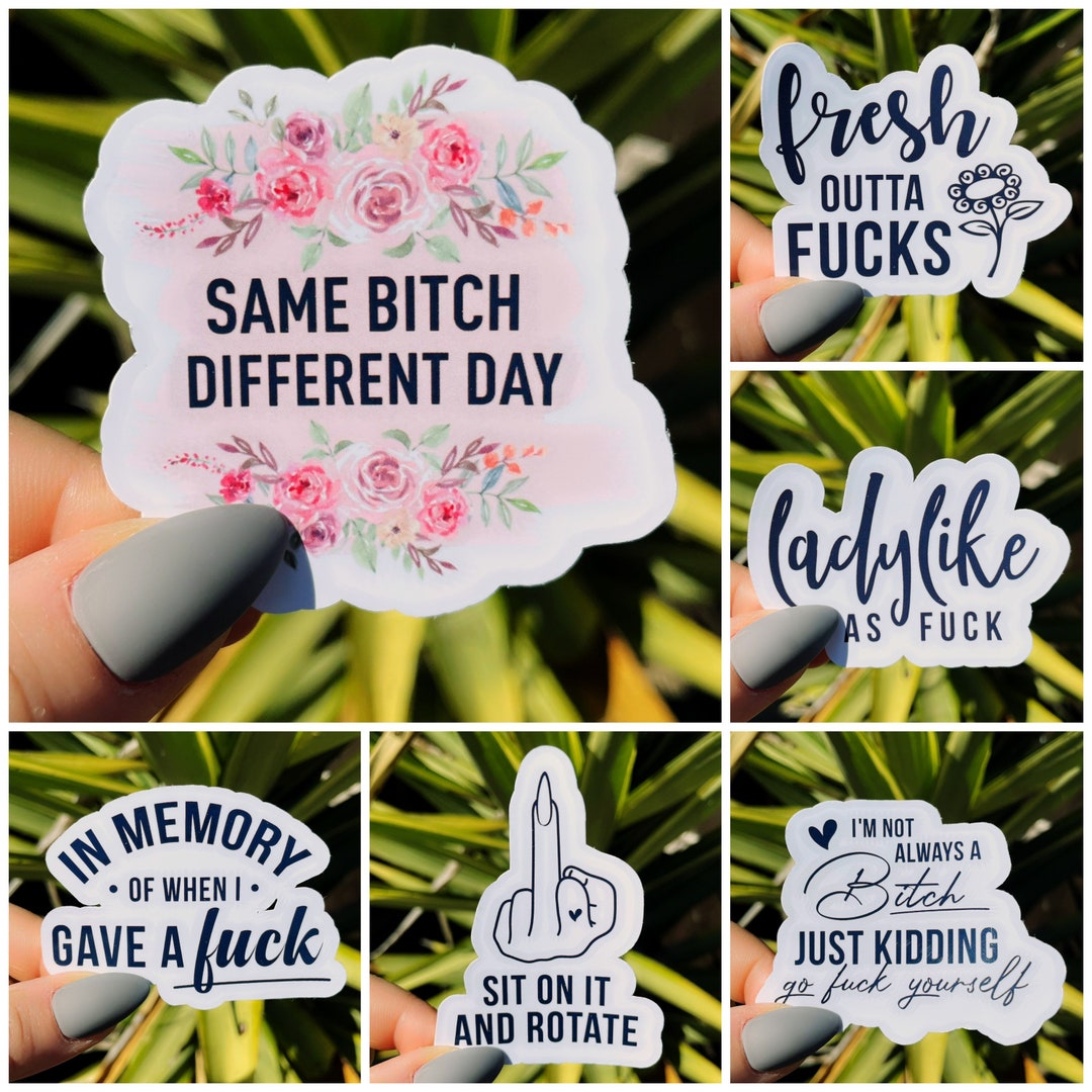 Rude and Sarcastic Sticker Pack - Etsy