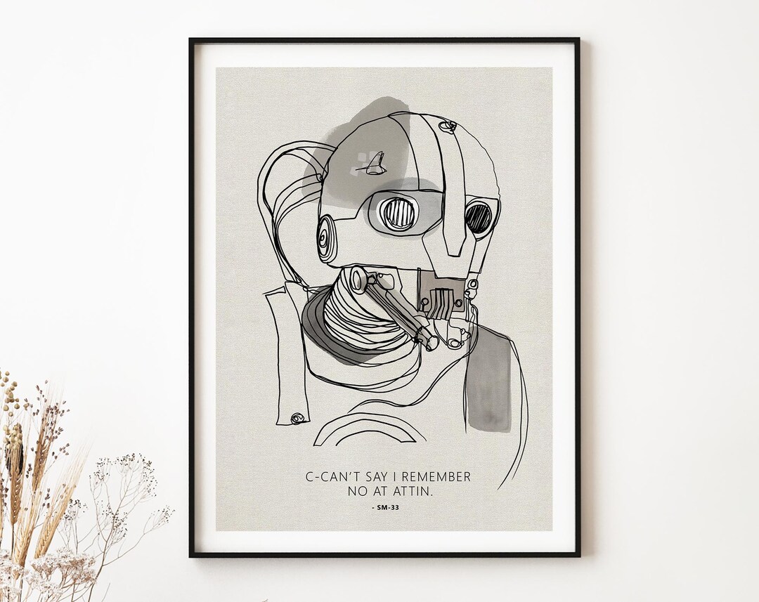 Galactic First Mate Pirate Droid Minimalist Poster | Fantasy Art Print ...