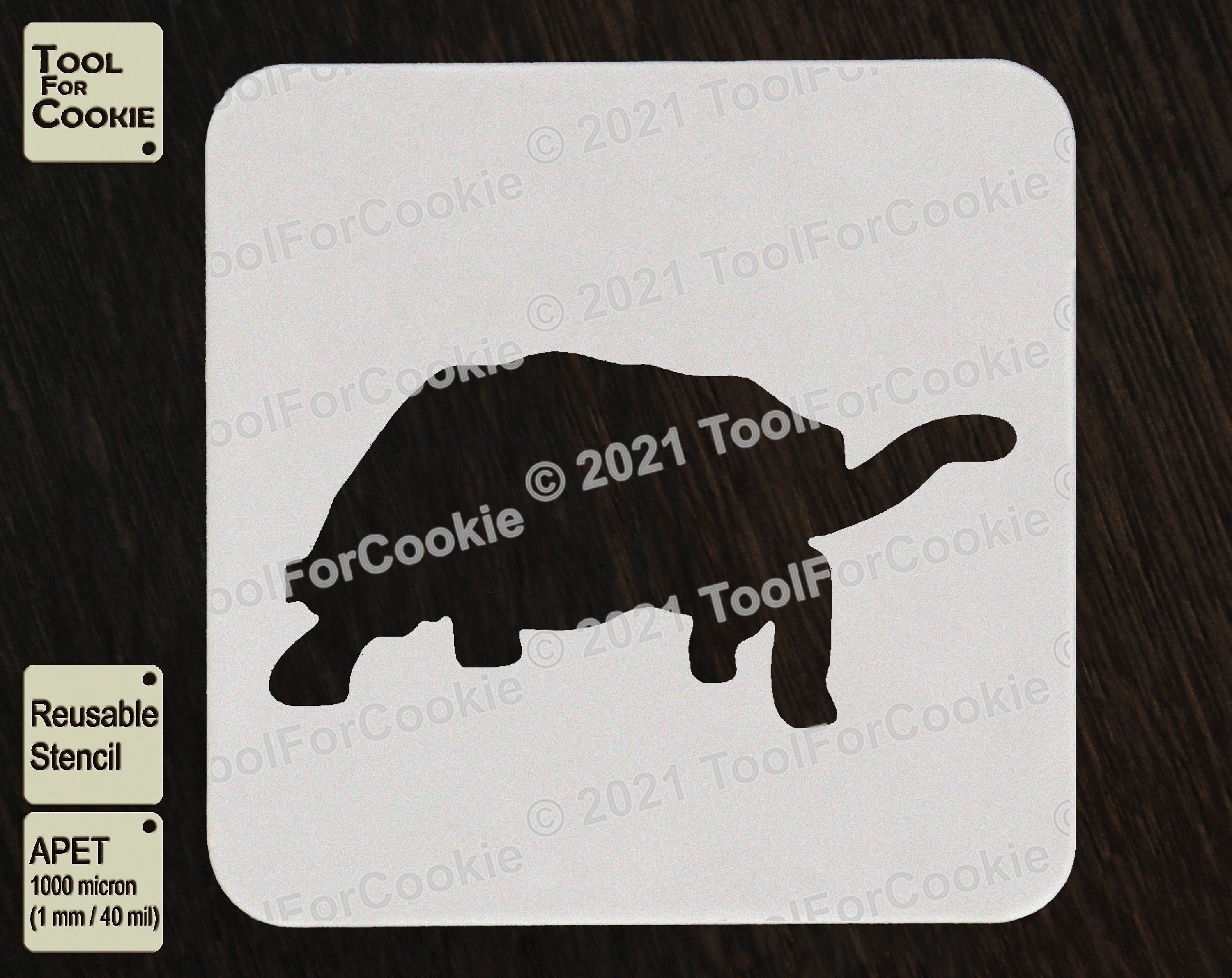 Tortoise Stencil Turtle Stencil | Etsy