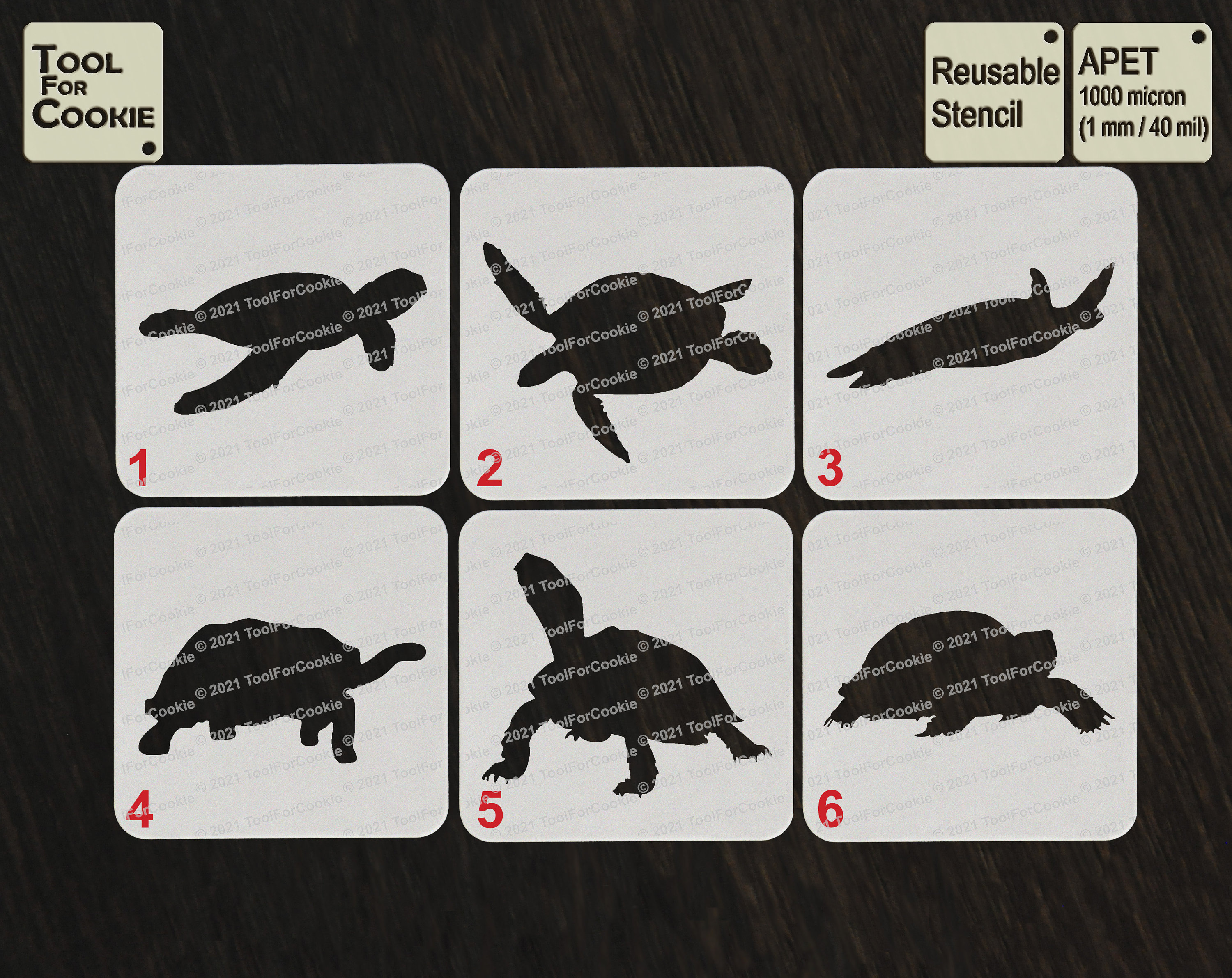 Tortoise Stencil Turtle Stencil | Etsy