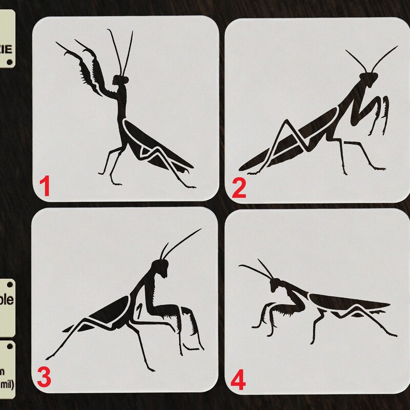 Insect Stencil - Etsy