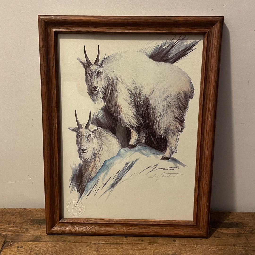 1980 Doug Lindstrand Signed Print of Two Mountain Goats Framed - Etsy