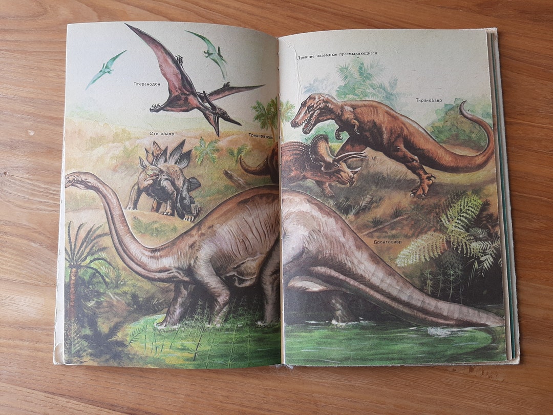 Vintage Zoology Book - Animals Book - Illustrated Book - Hunting ...