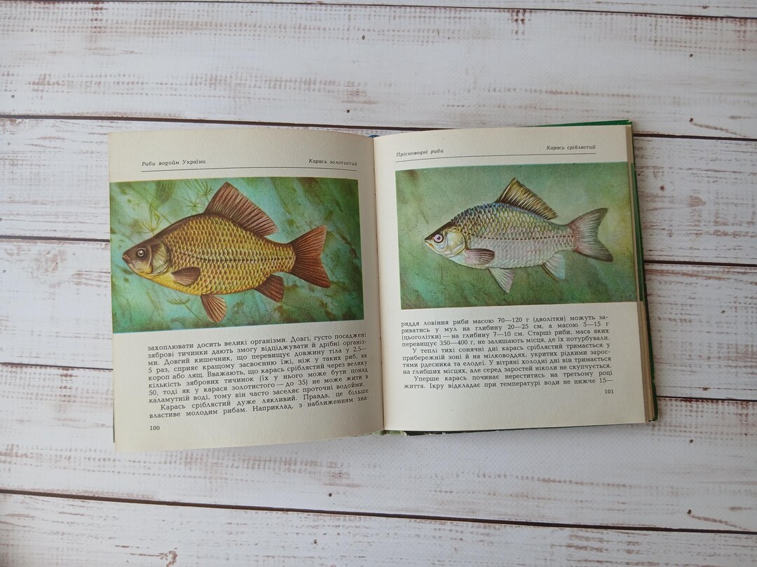 Fish of Ukrainian Reservoirs in Vintage Book With Colored Illustrations ...