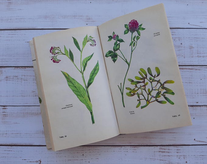 Medicinal Plants Vintage Botany Book With Beautiful Color Drawings Wild ...