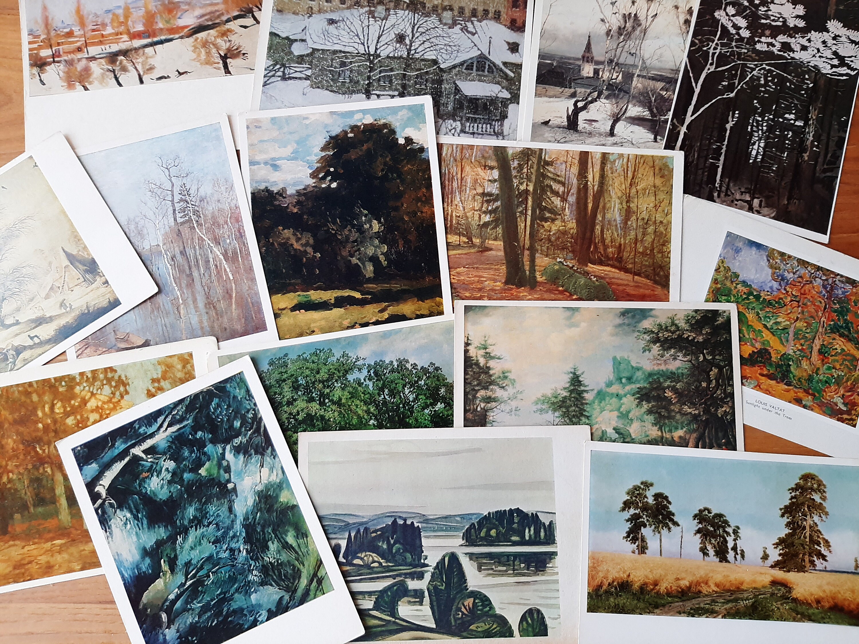 Landscapes of trees set of 15 vintage postcards | Etsy