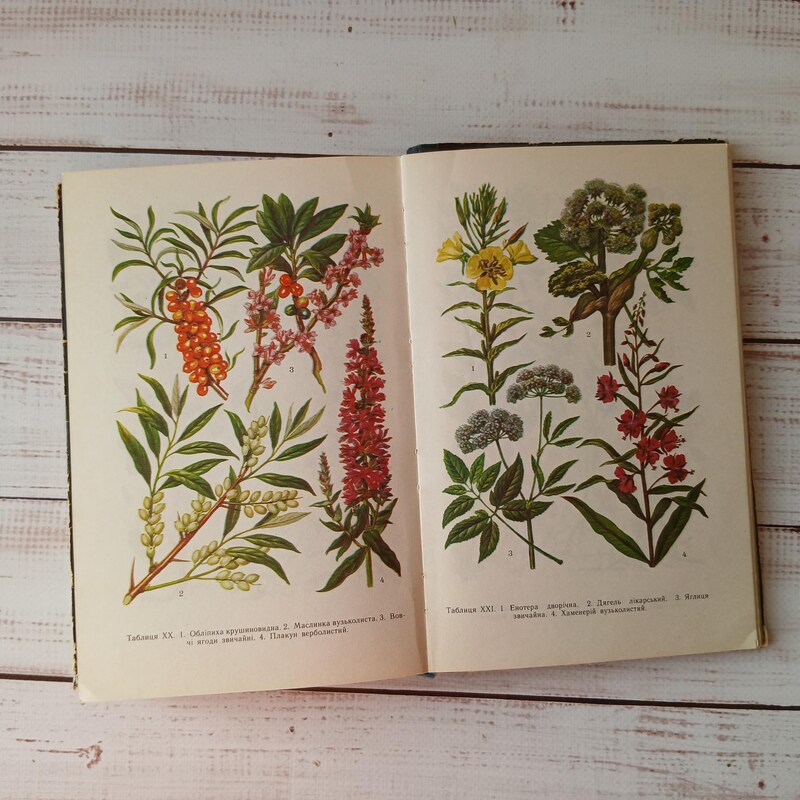 Botanical Book Plate - Etsy