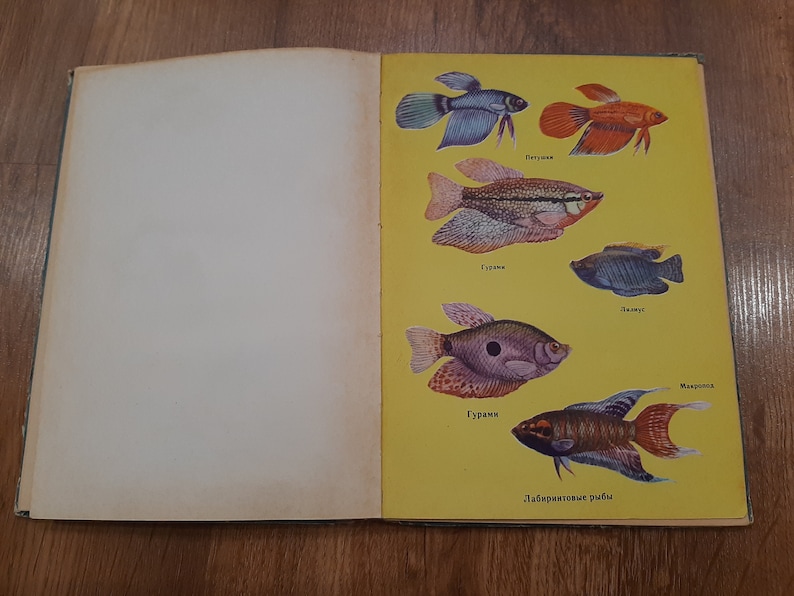 Aquarium Fish Vintage Book 60s Fish Color Black and White - Etsy