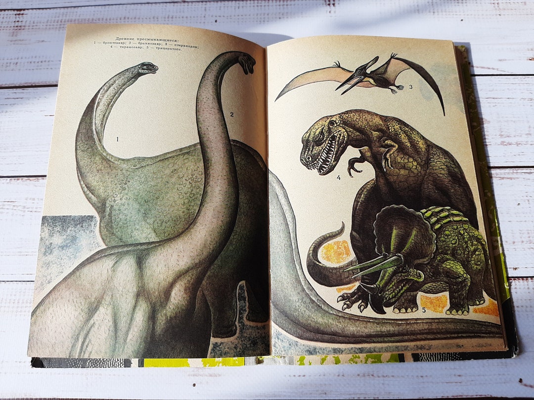 Animals Book - Vintage Illustrated Book - Hunting Animals Birds Book ...