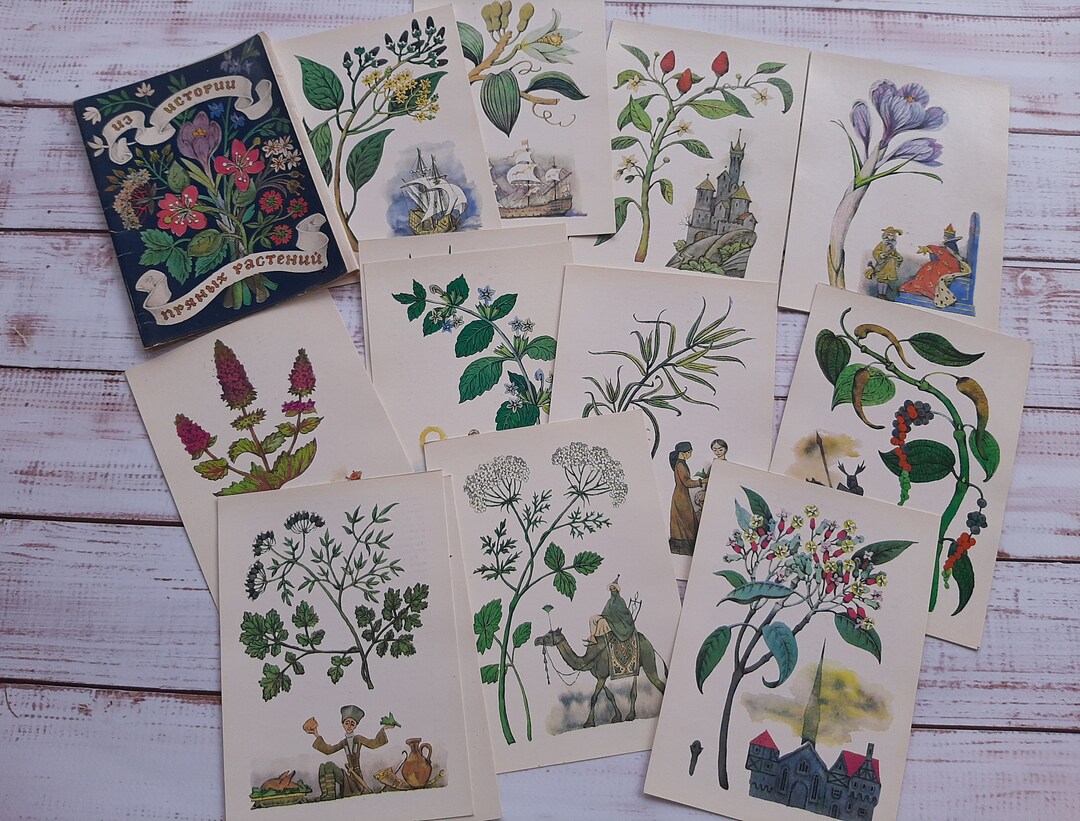 Vintage Botanical Postcards Set of 16 Spicy Plants Flower Illustration ...