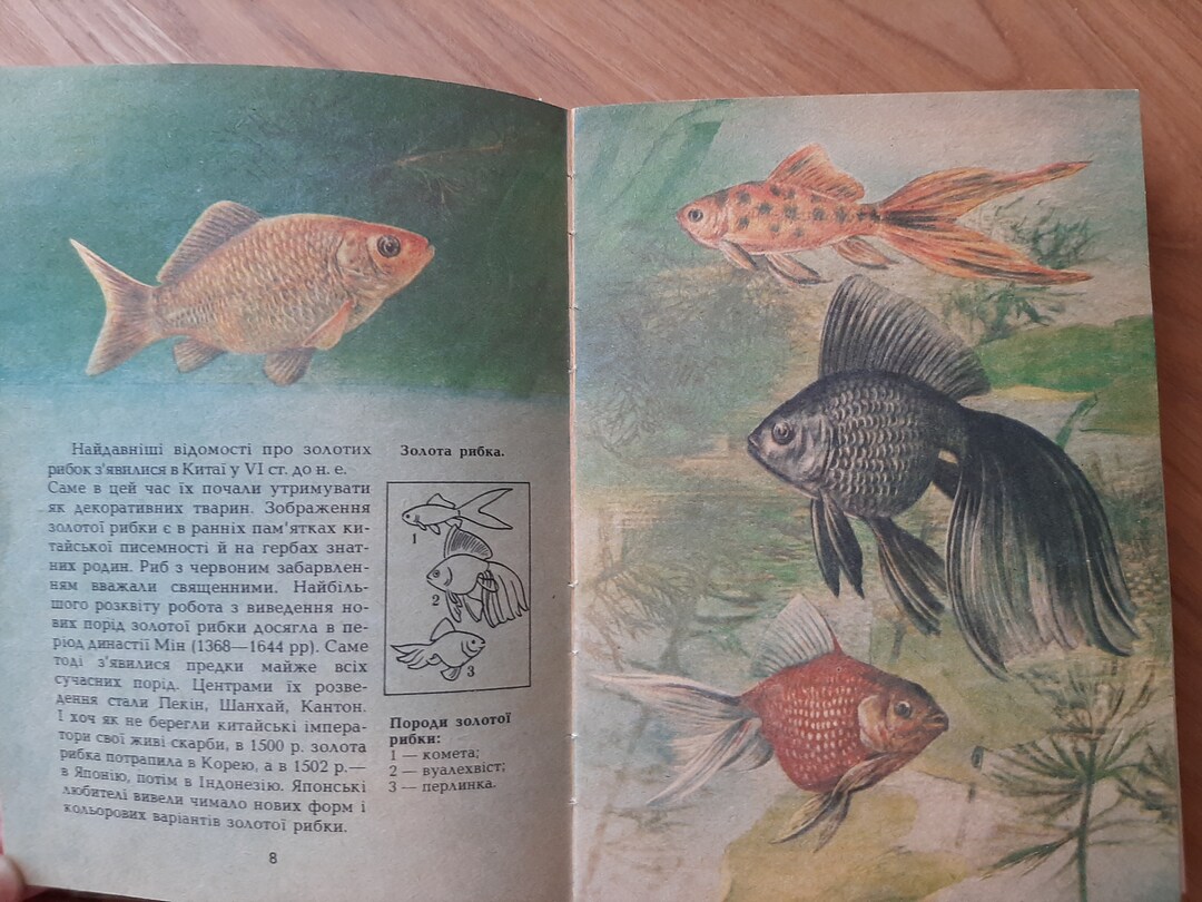 Vintage Book About Aquarium Fish Vintage Book Fish Illustrations ...