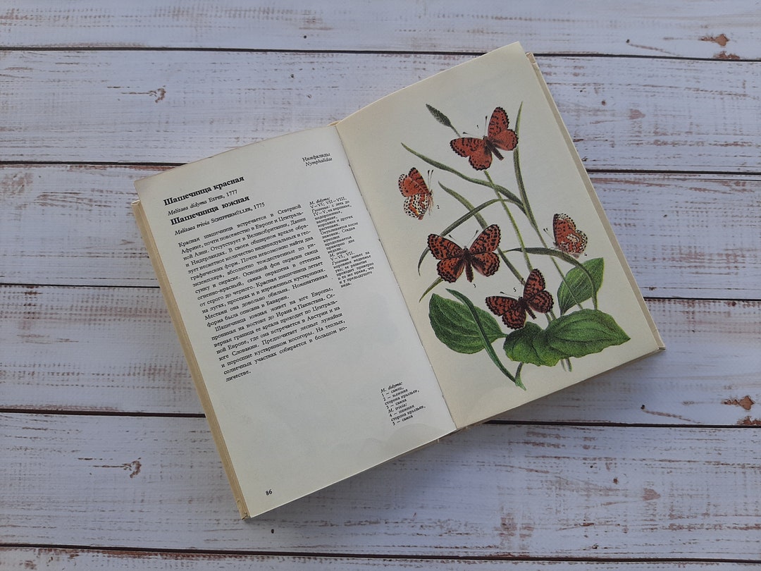 60+ Illustrations of Butterflies on Vintage Illustrated Book - Painted ...