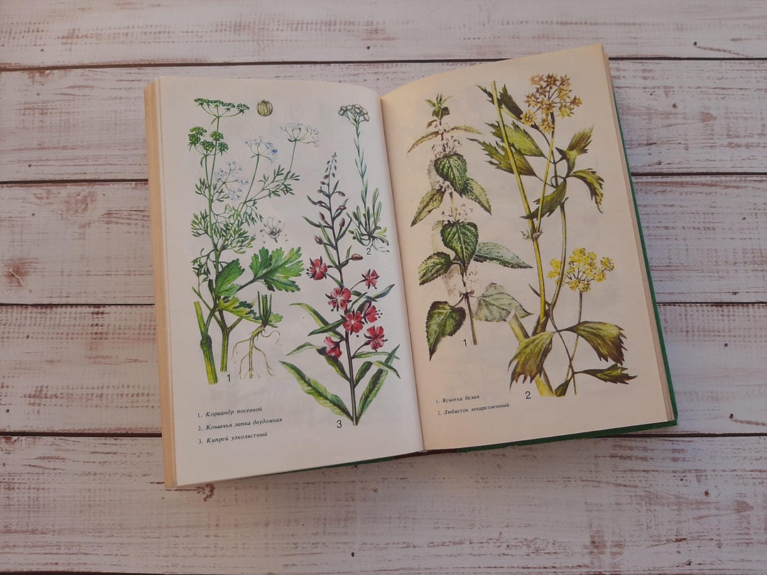 Medicinal Plants Vintage Botany Book With Beautiful Color Drawings Wild ...