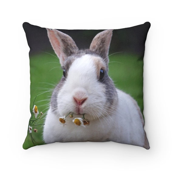 Bunny Rabbit Lover Pet Pillow Spun Polyester Square Pillow | Etsy