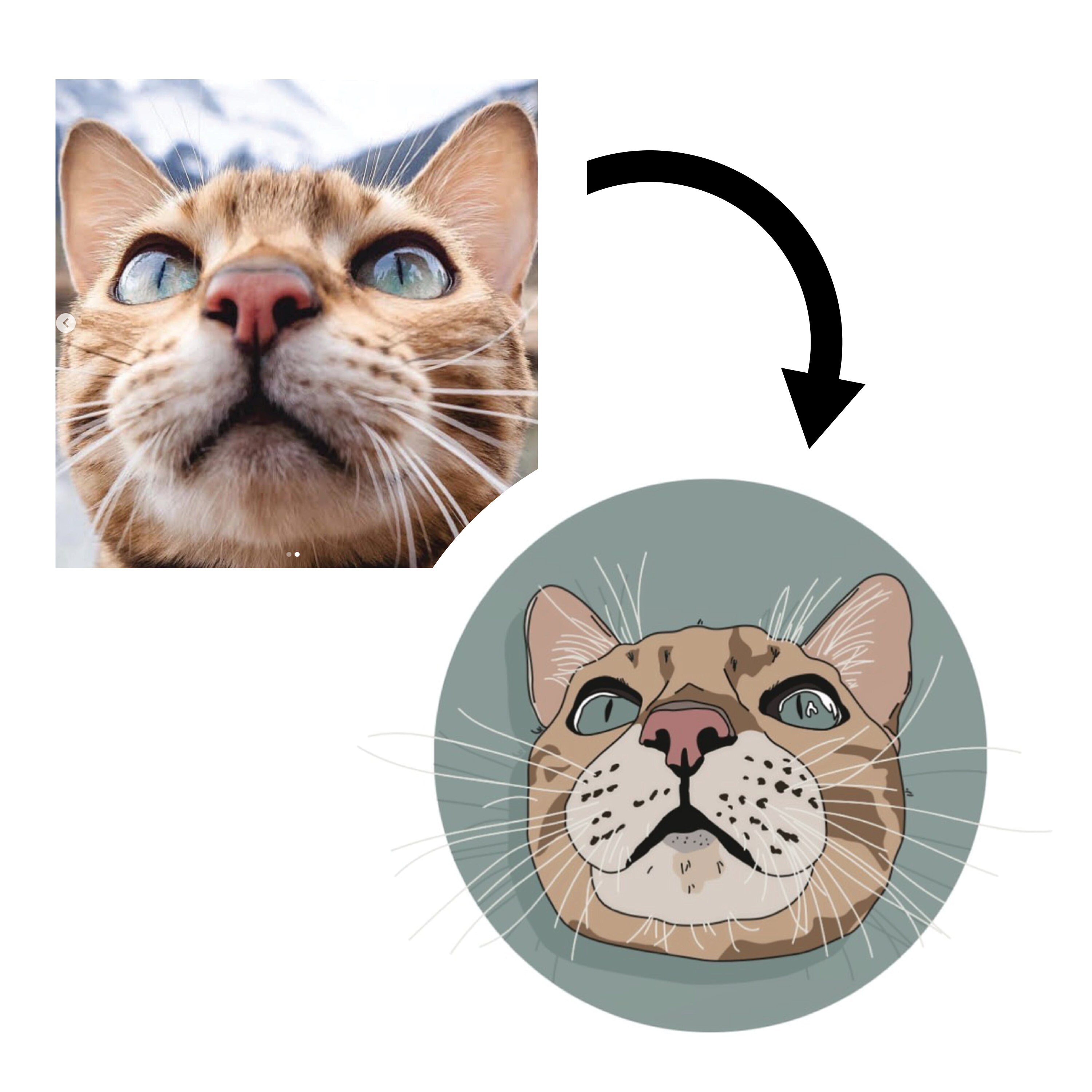 Custom Cat Portrait, Custom Cat Illustration, Cat Cartoon, Cat Drawing ...