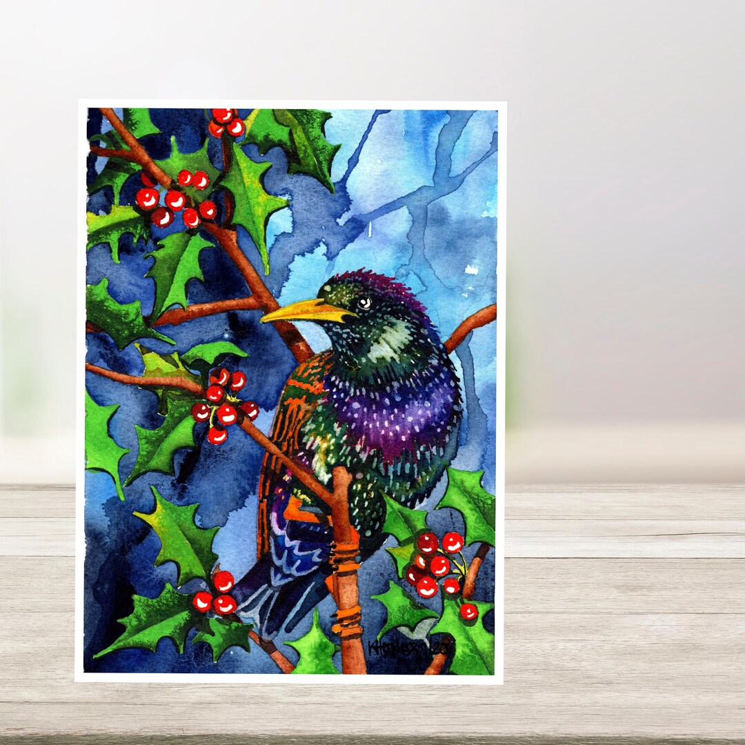 Christmas Cards: Starling in Holly Bush Watercolor Christmas Card Pack ...