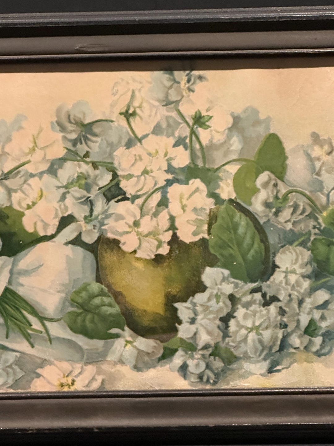 A Study of Violets by Mary E. Hart Vintage Antique Yard Long Print - Etsy