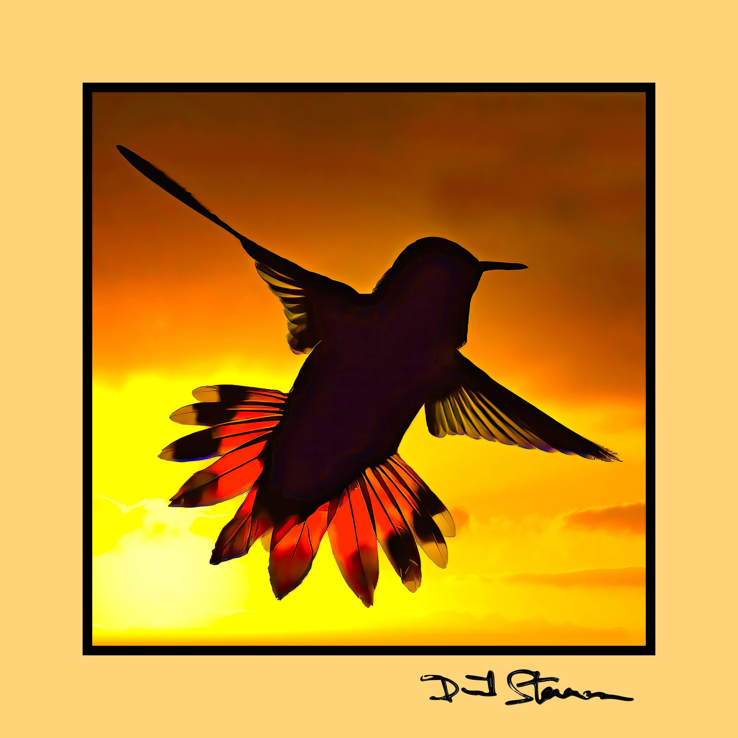 5533sc Sunset Hummingbird Print - Etsy