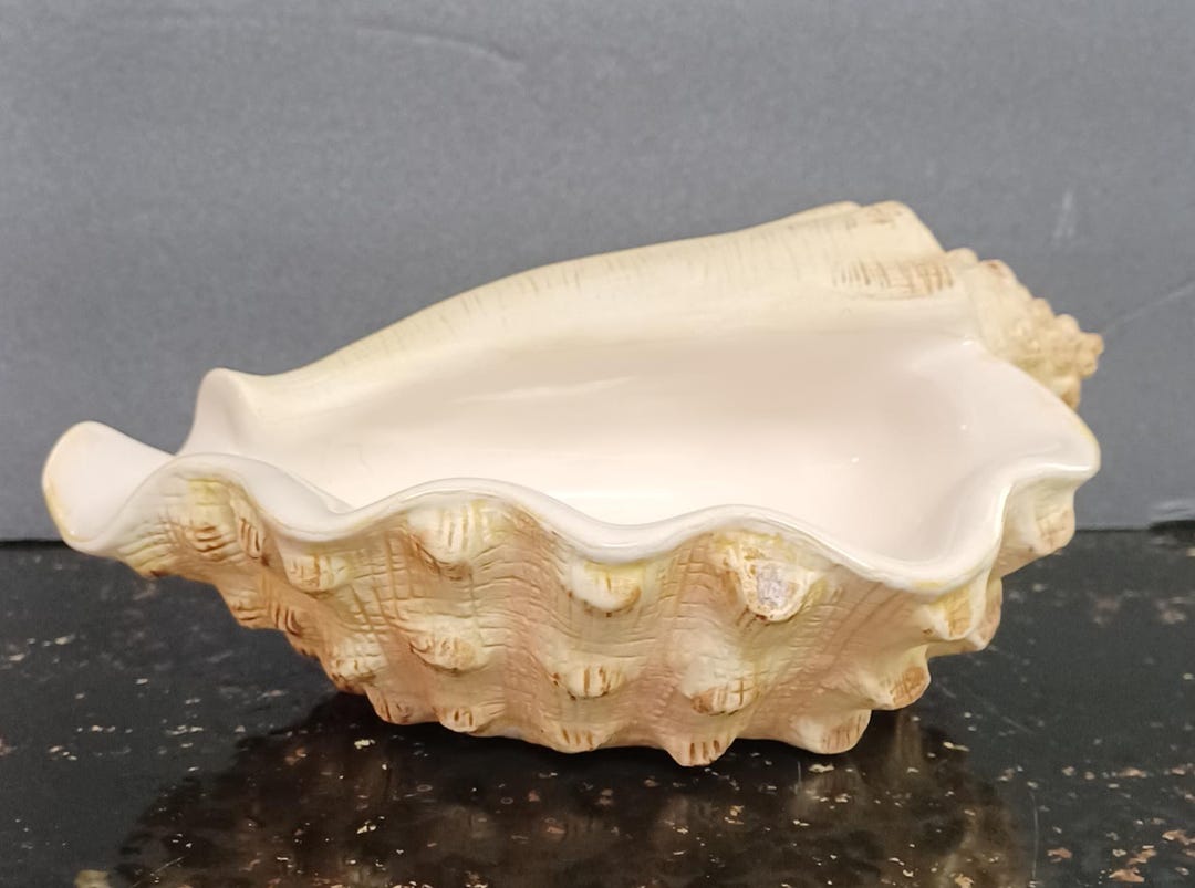 Ceramic Conch Shell Soap Dish Jewelry Bowl Trinkets Decorative 8