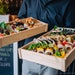 Sushi Box Box Bento Box Serving Sushi Small 15x30 Cm - Etsy