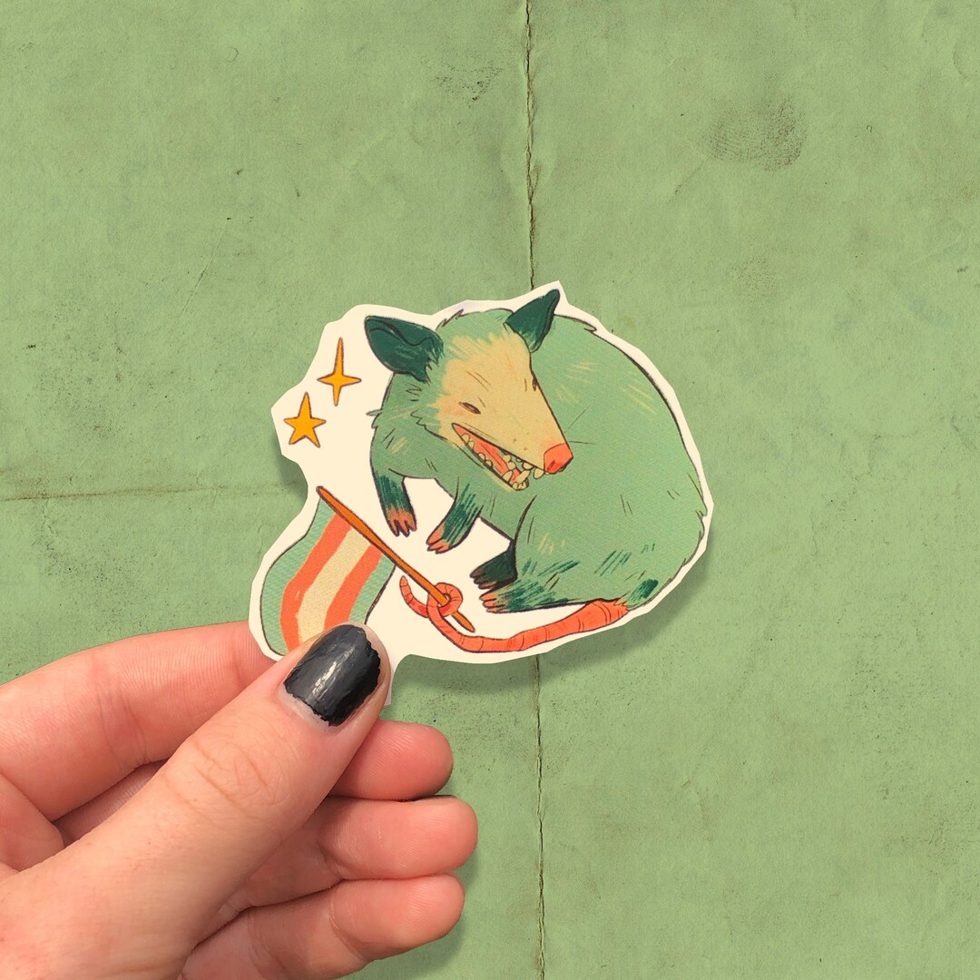 Trans Pride Possum // Vinyl Sticker. LGBTQ, 3x3 Queer Decorative ...