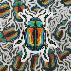 QUEER BUGS // 3x2 Vinyl Sticker Collection Lesbian, Gay mlm, Bisexual ...