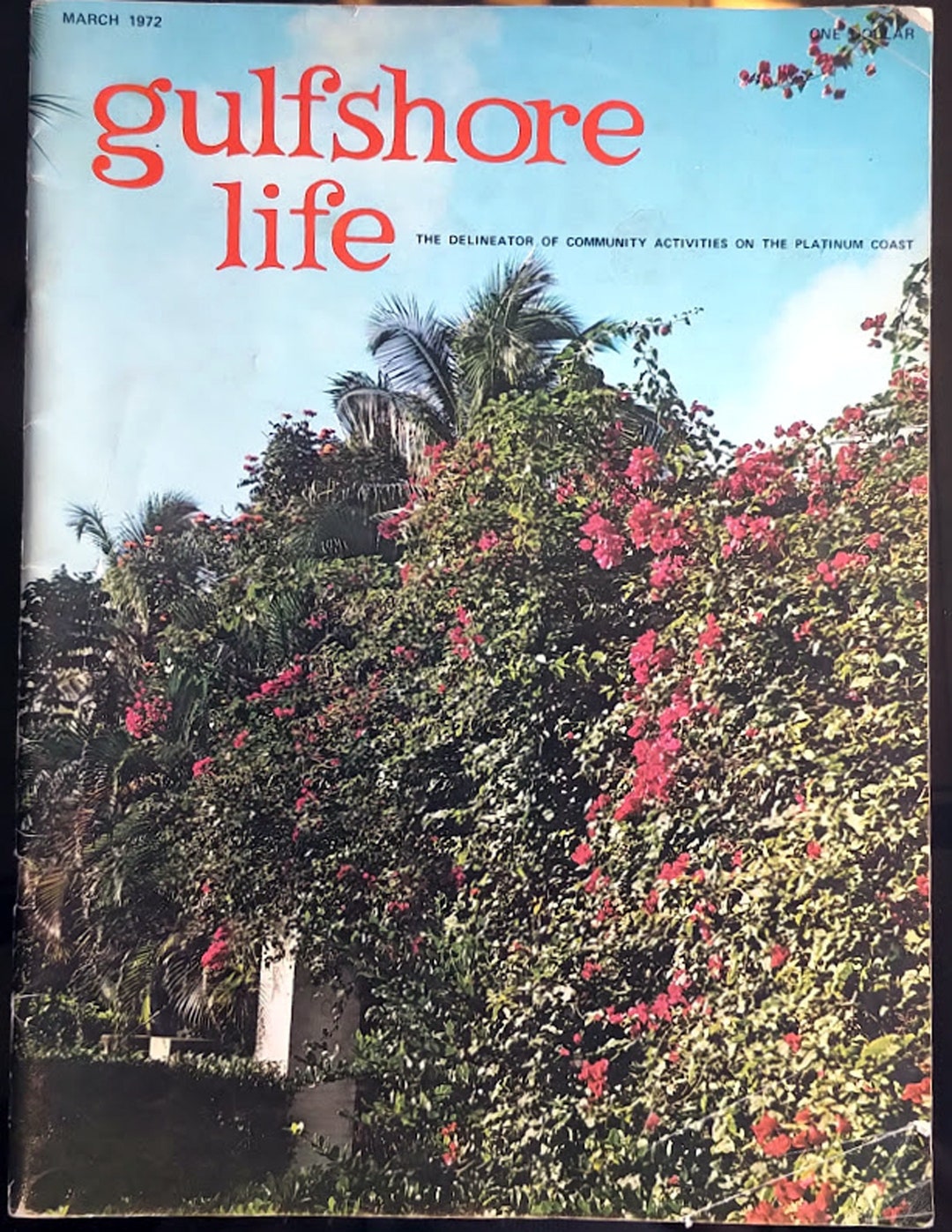 V. RARE 1972 Gulfshore Life Magazine March Vol. 3 No. 3/ ORIGINAL ...