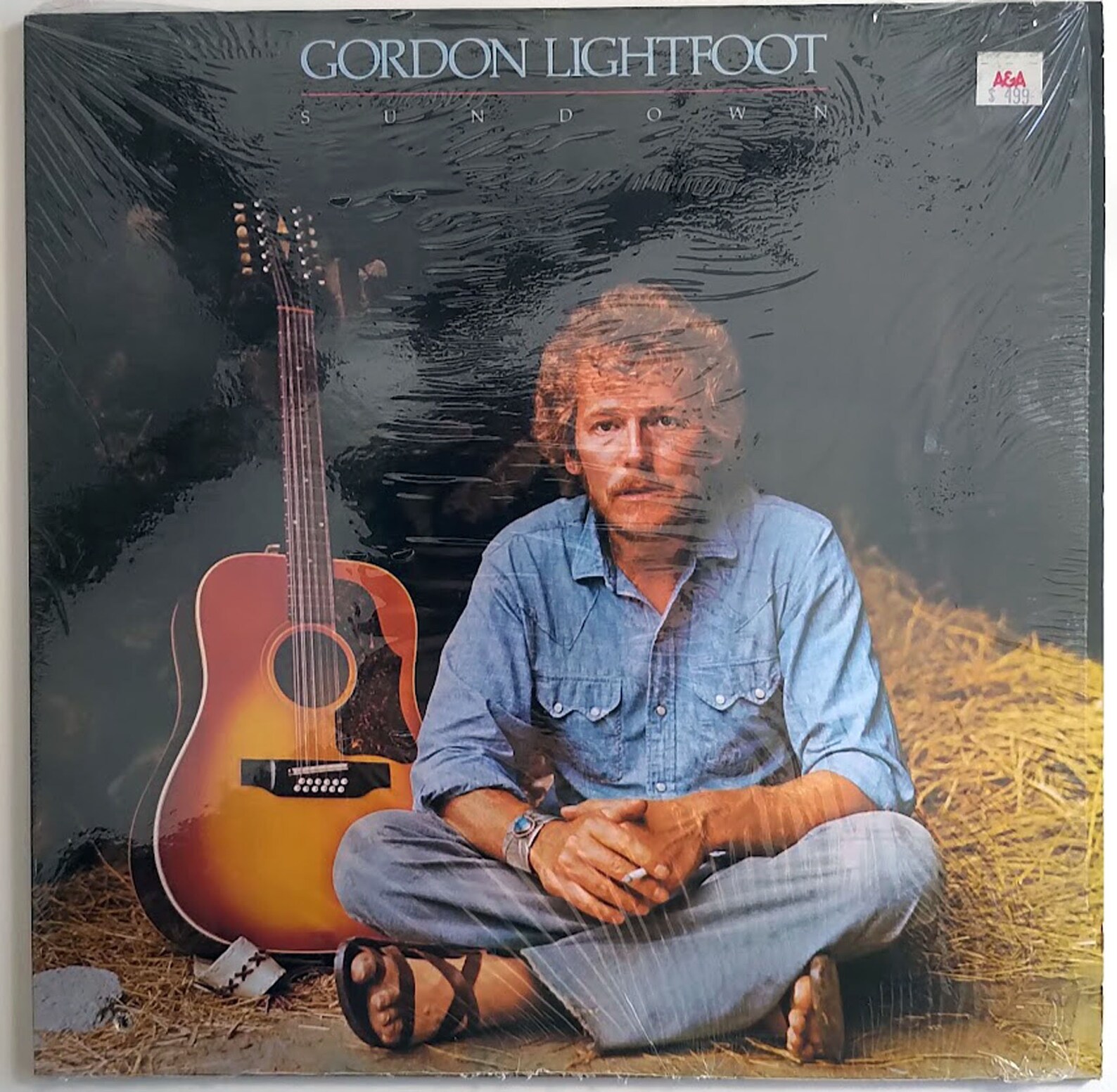 Rare label Variant Gordon Lightfoot Sundown / Vinyl LP - Etsy