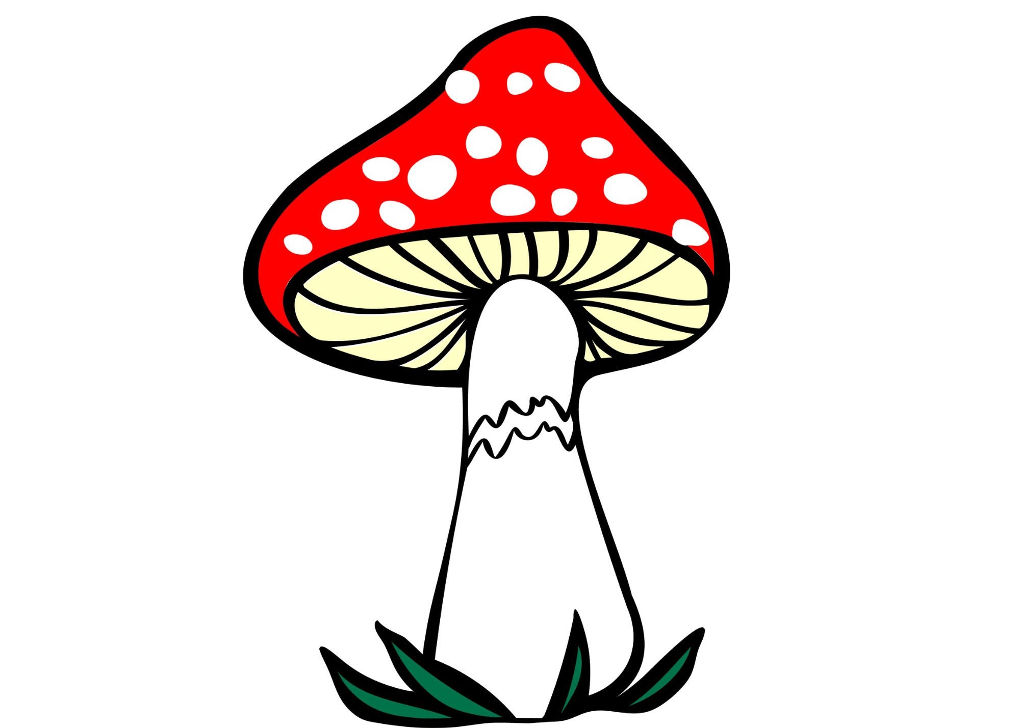 Decomposer Clipart