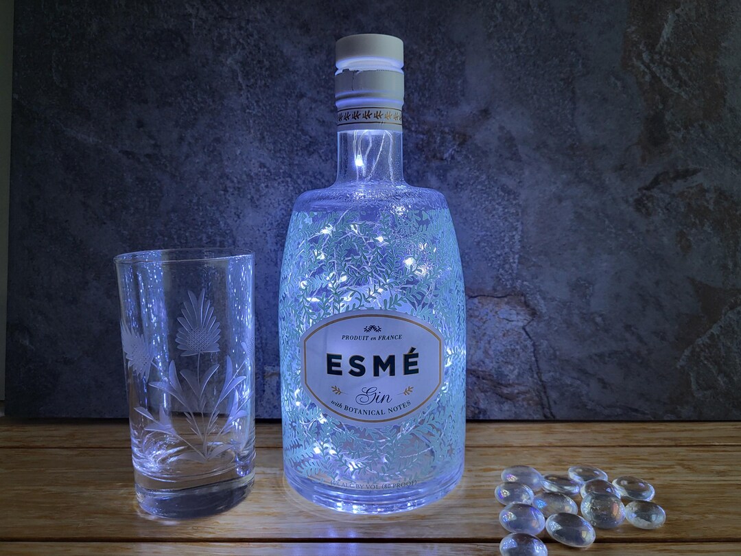 Esme Gin Bottle Lamp – France Gin, Color Choice LED Light - Etsy