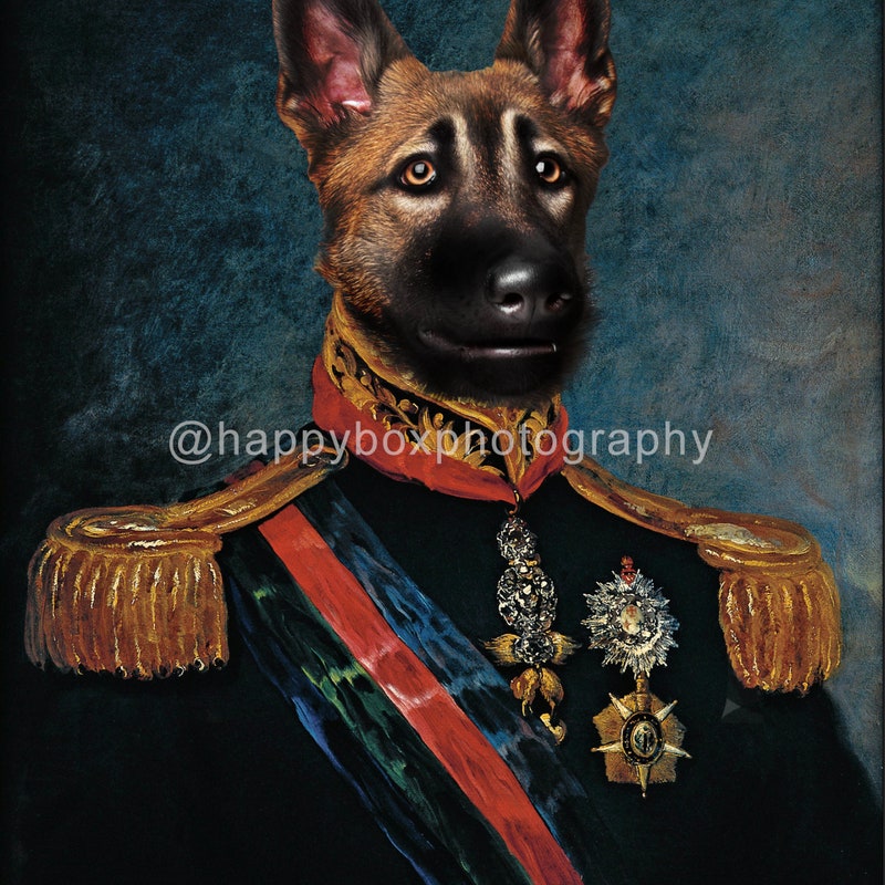 Layered Art Pet Portraits - Etsy