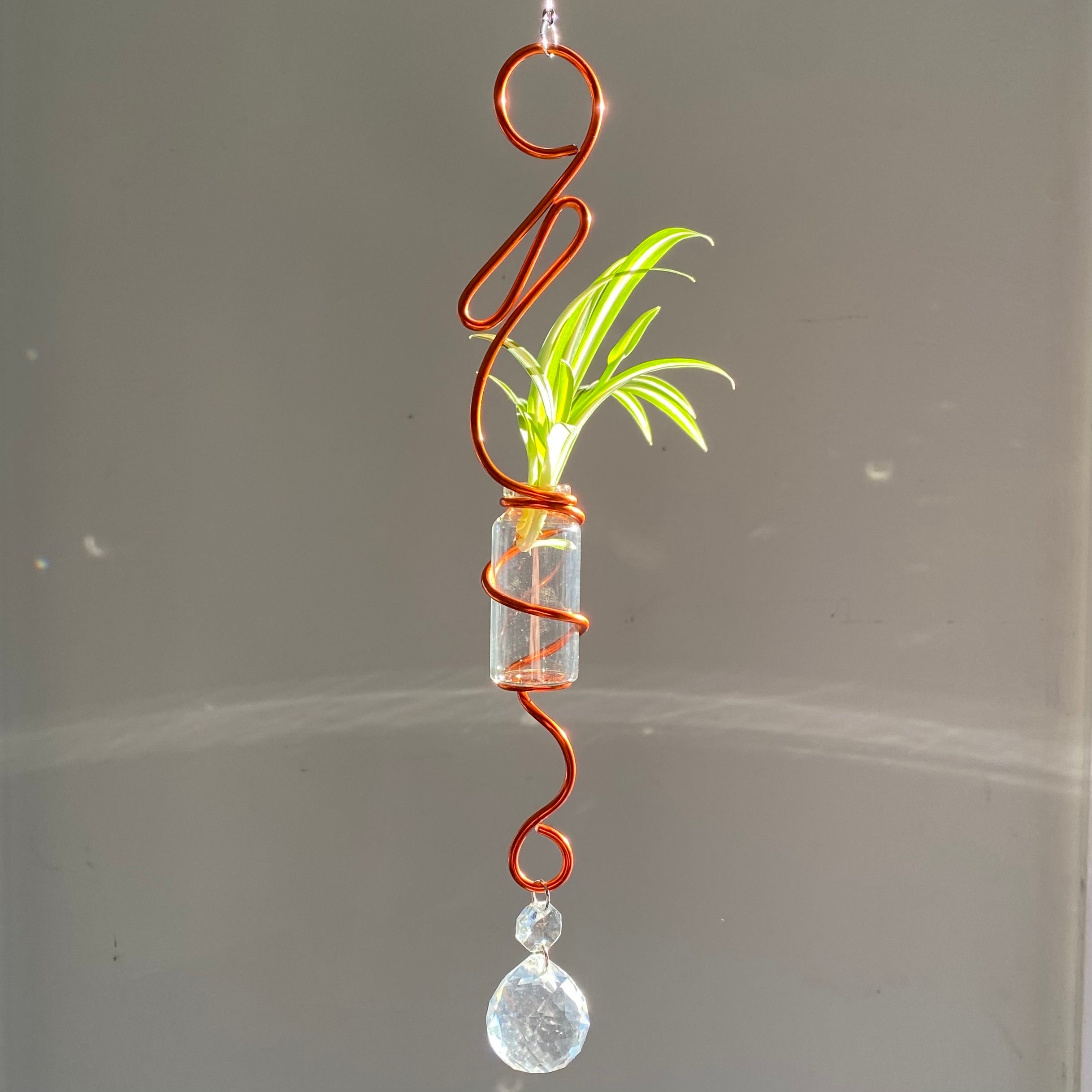 Funky Hanging Propagation Station, Sun Catcher, Bud Vase, Hanging Plant ...