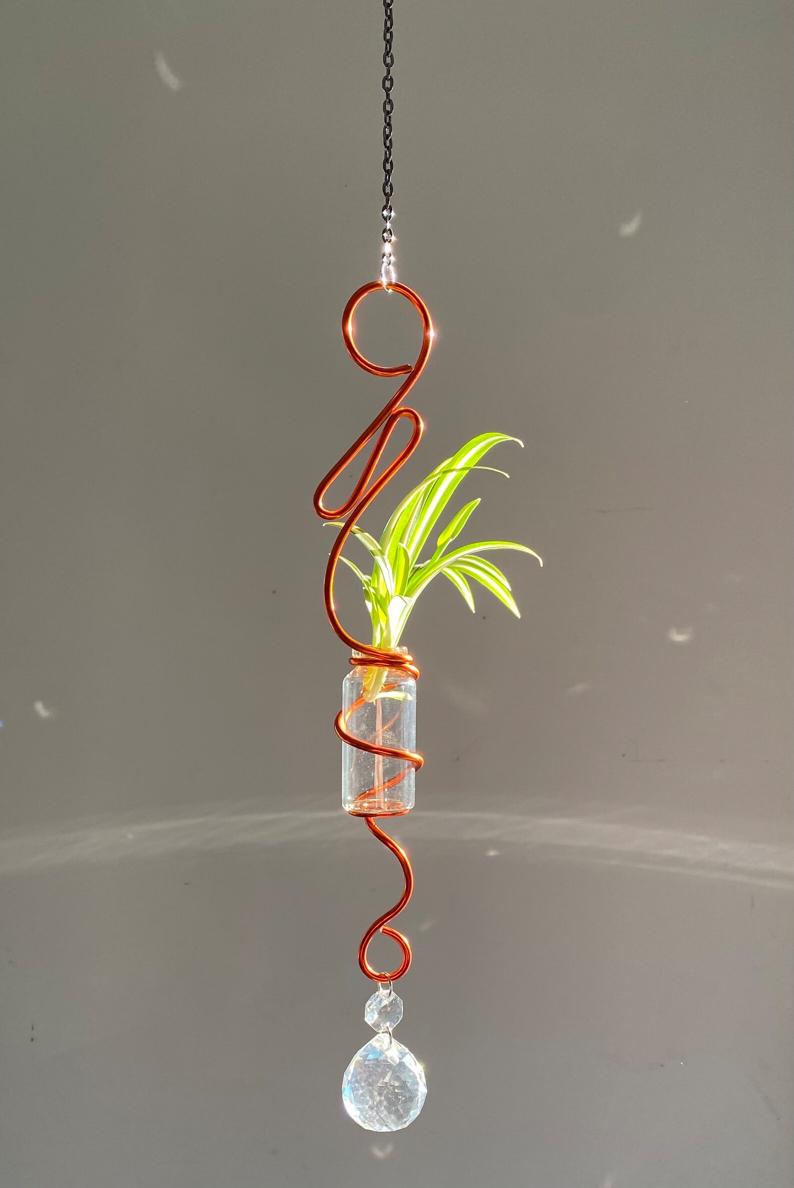 Funky Hanging Propagation Station, Sun Catcher, Bud Vase, Hanging Plant ...