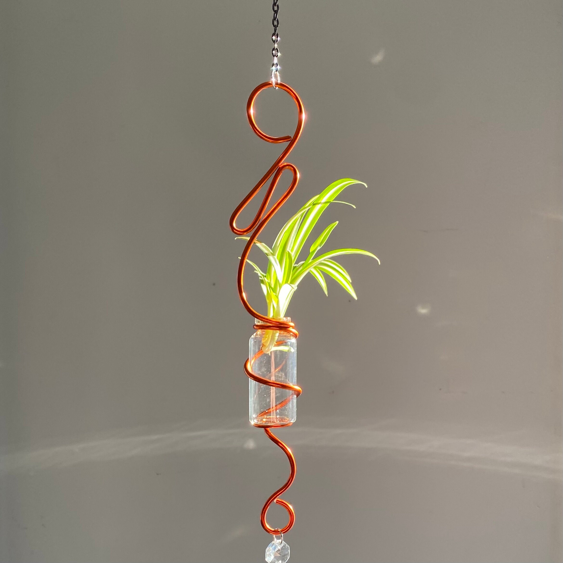 Funky Hanging Propagation Station, Sun Catcher, Bud Vase, Hanging Plant ...