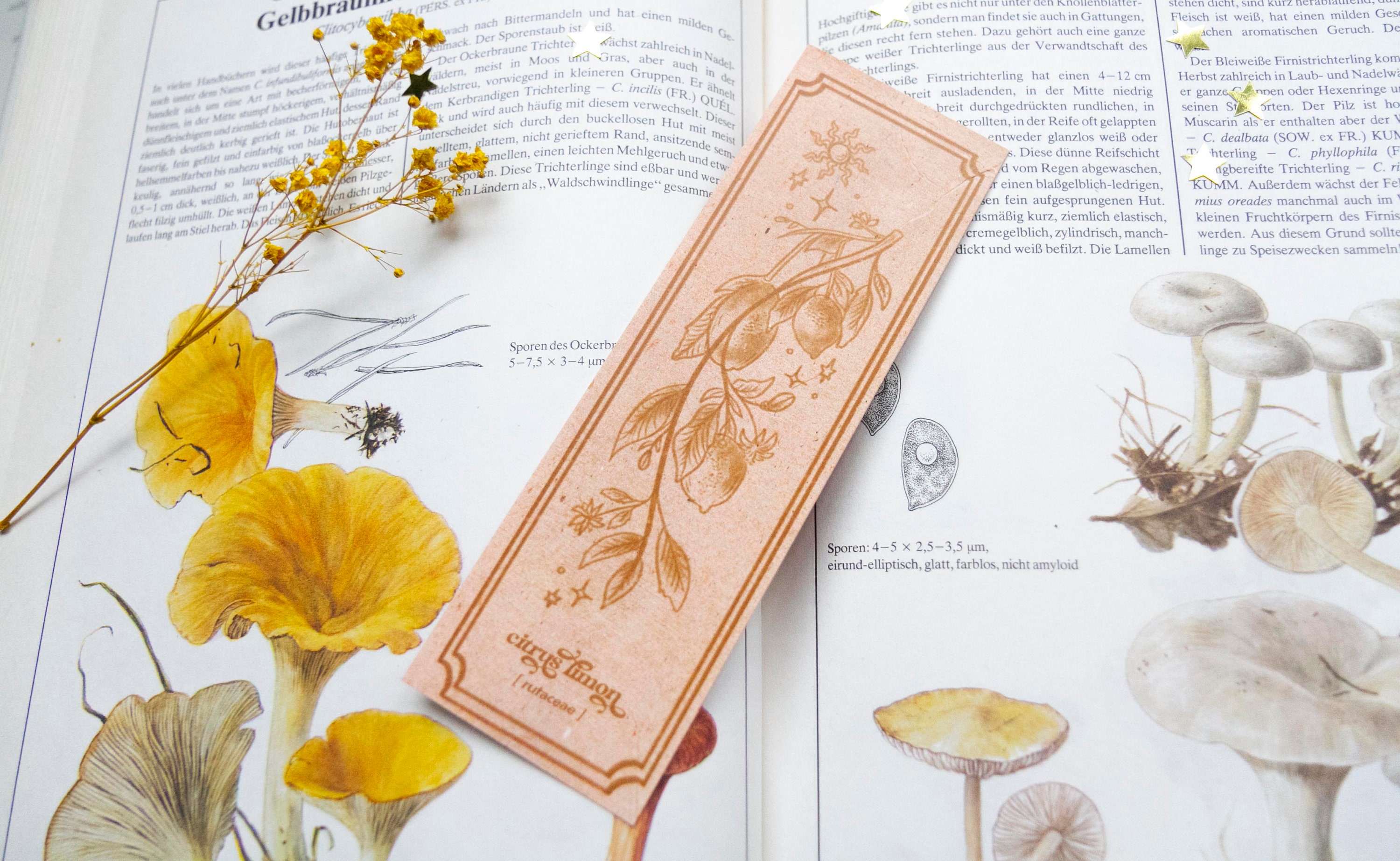 Cottage Core Botanical Illustration Bookmark Set Strawberry - Etsy