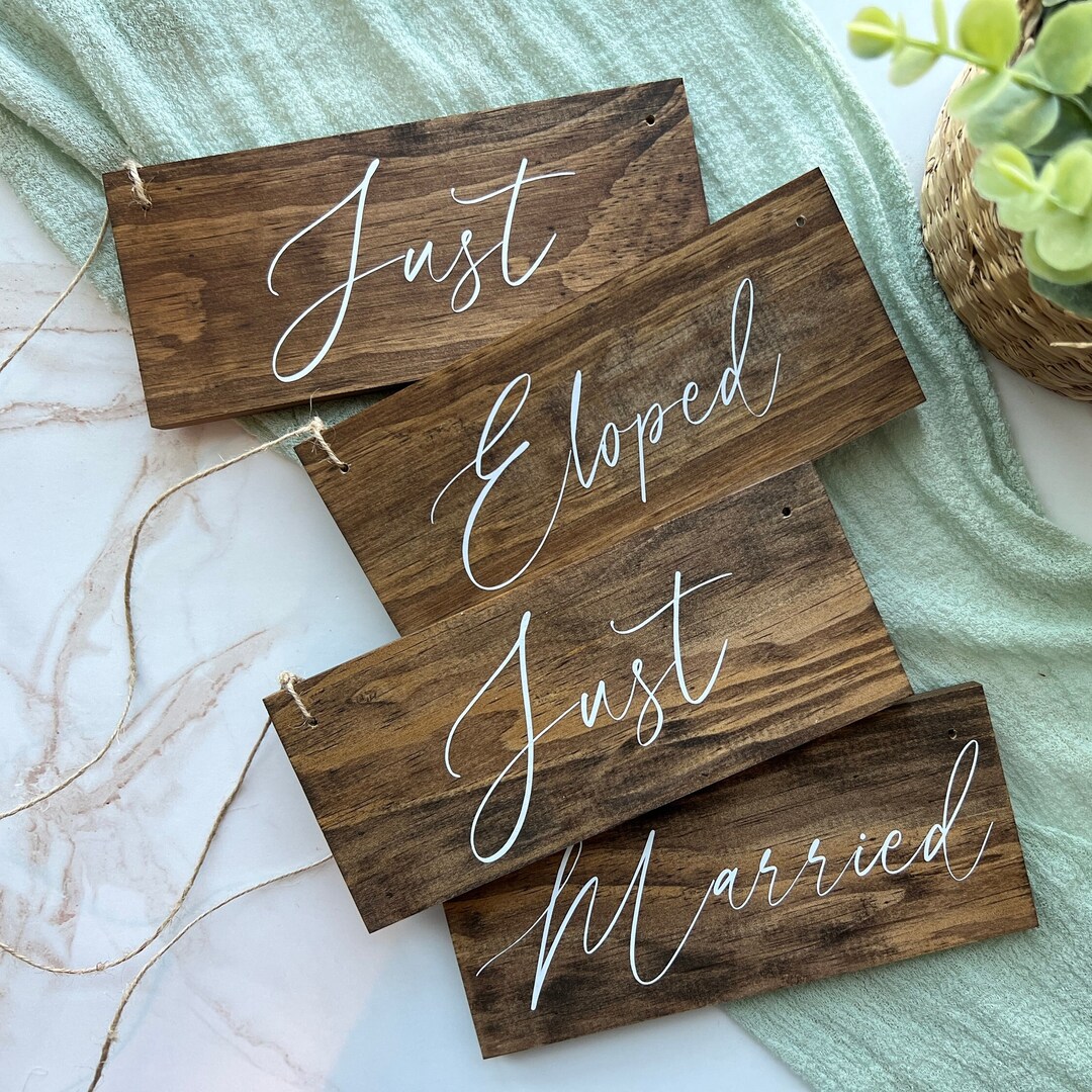 Mini Backpack Signs Just Married Backpack Sign for Mountain Wedding ...