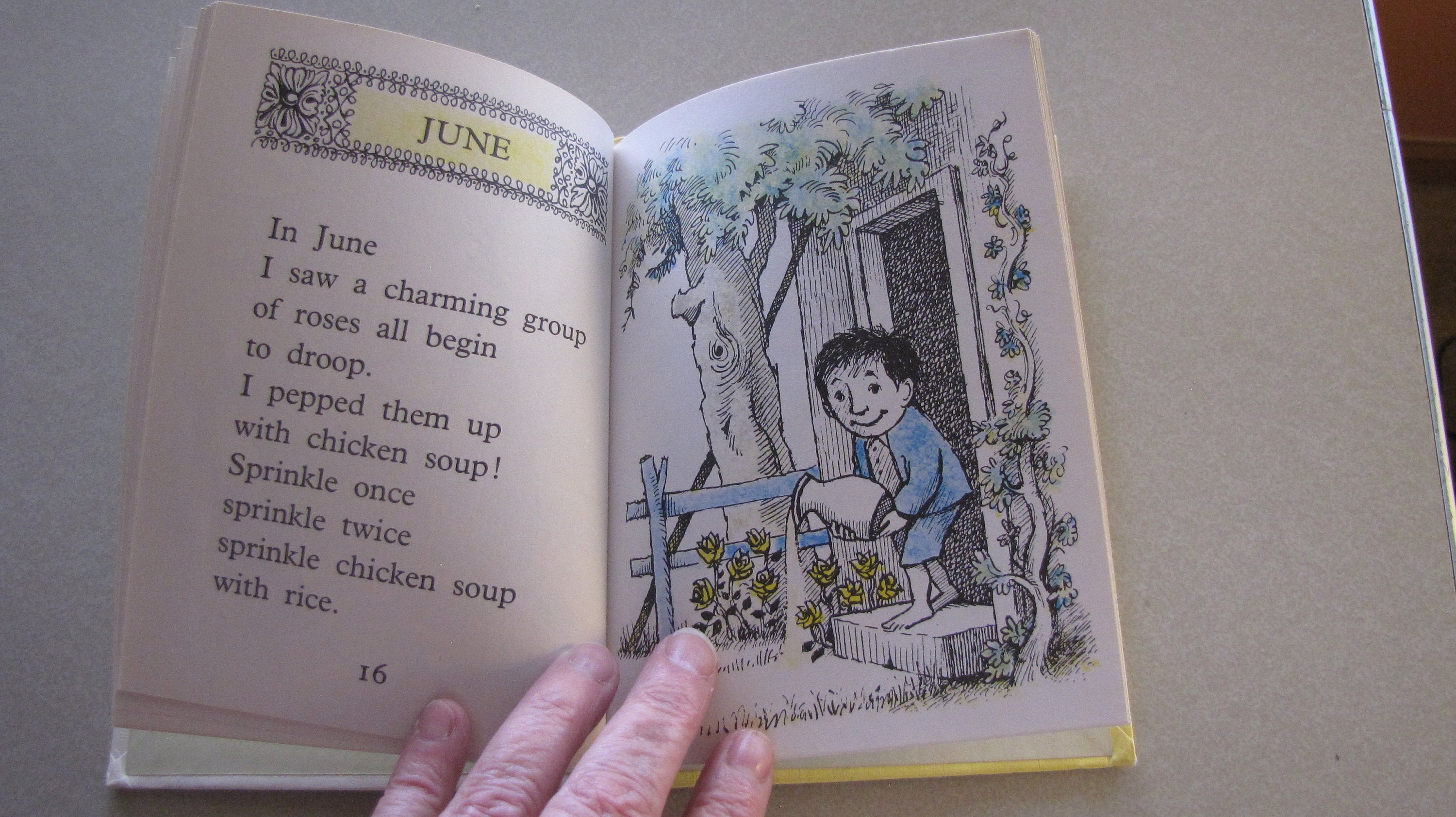 Chicken Soup With Rice June