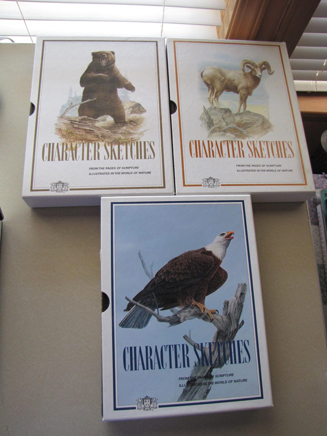IBLP Character Sketches, Volumes 1-2-3, Hardcovers W/cases 2003 - Etsy