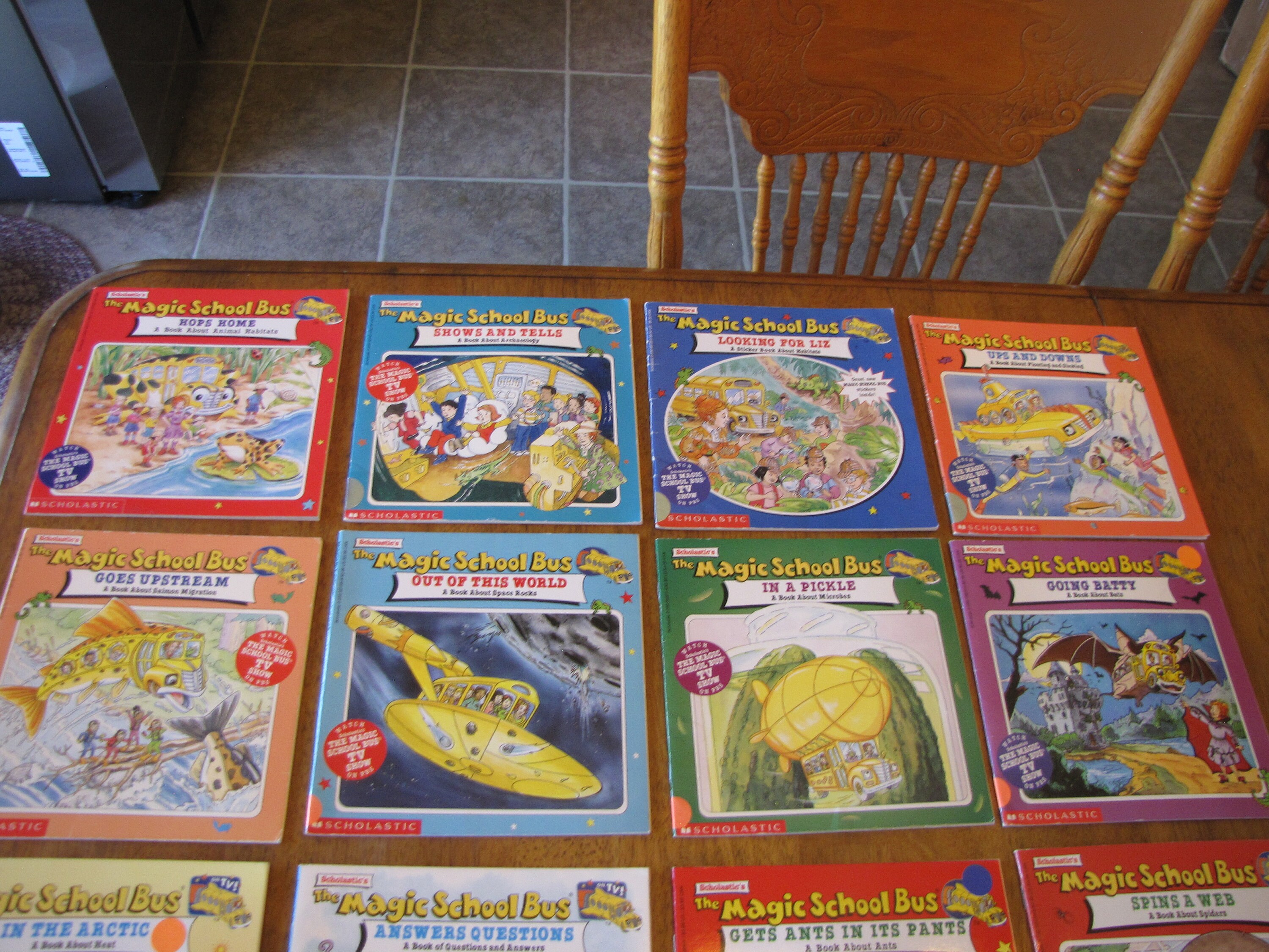 15-magic School Bus Books, Plus 2 Activity Guides, Total 17-books ...