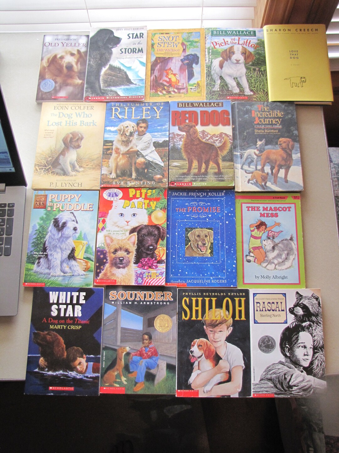 16-vintage Books About Dogs, 1-about a Raccoon [rascal] Total 17 Books ...