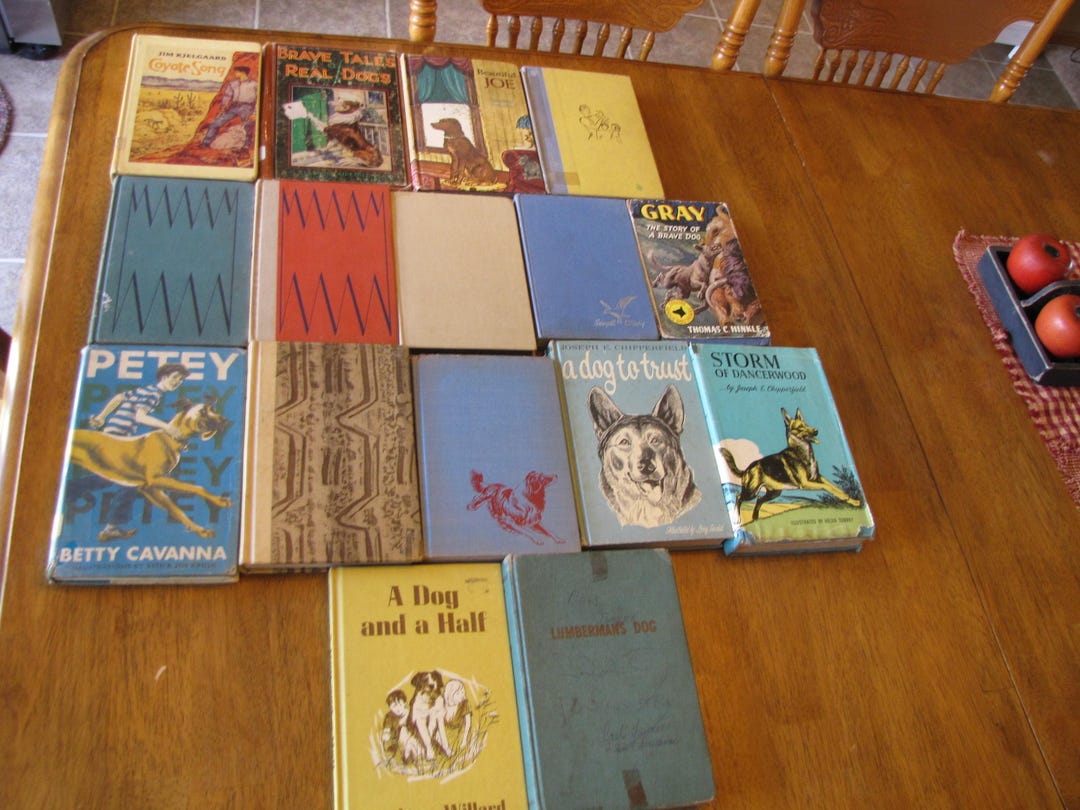 16-very Old Musty Books Stories About Dogs for Youth Reading, Some Are ...