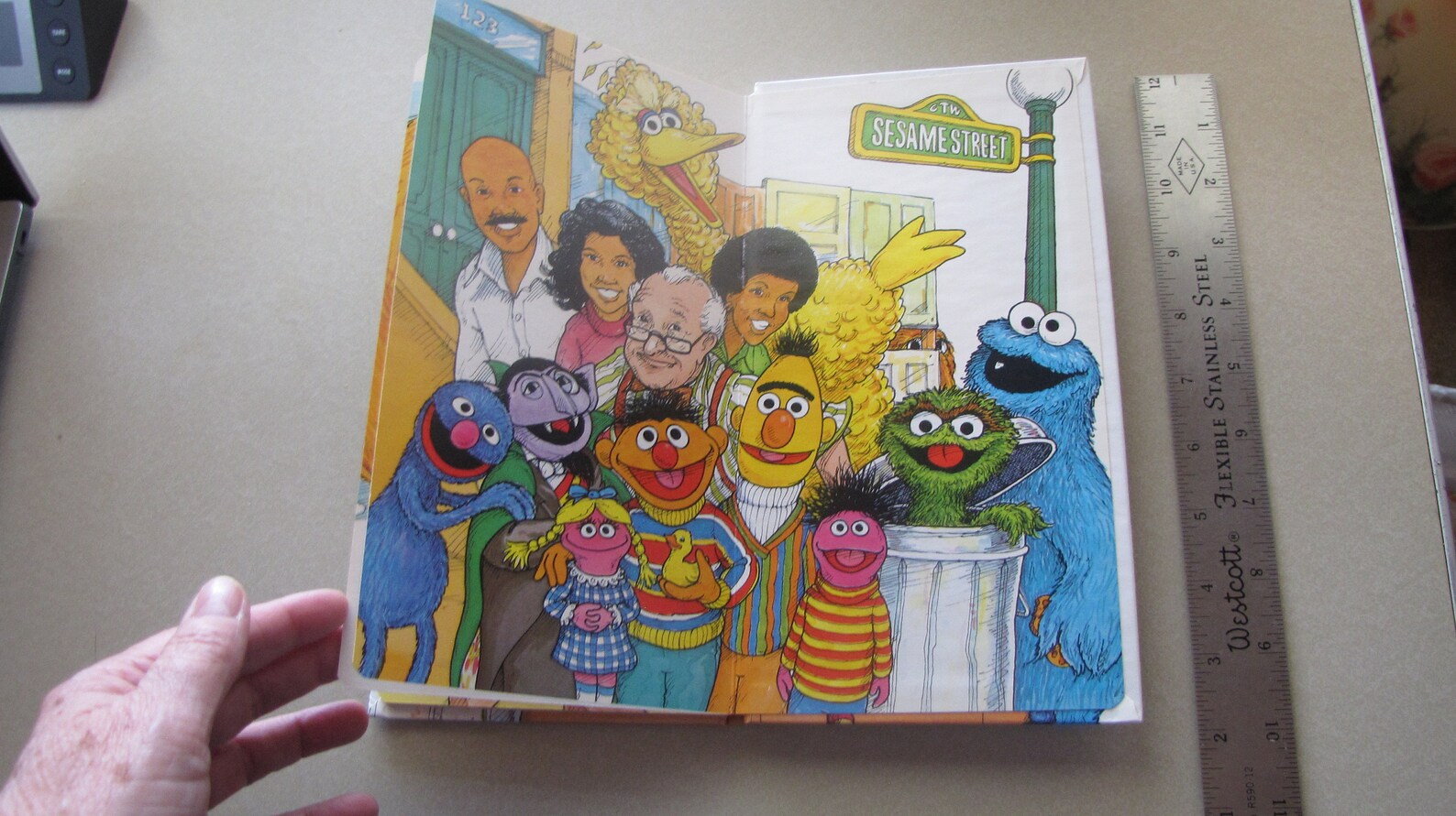 Who Am I? Sesame Street, A Golden Sturdy Book, 1978 - Etsy