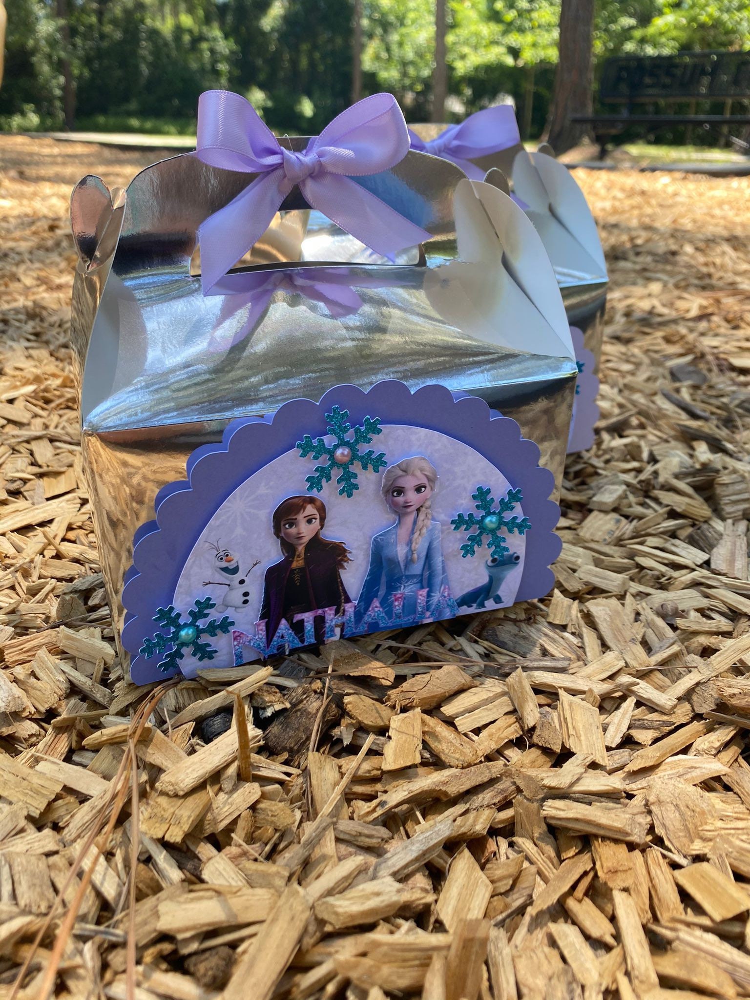 Frozen Party Favor Boxes