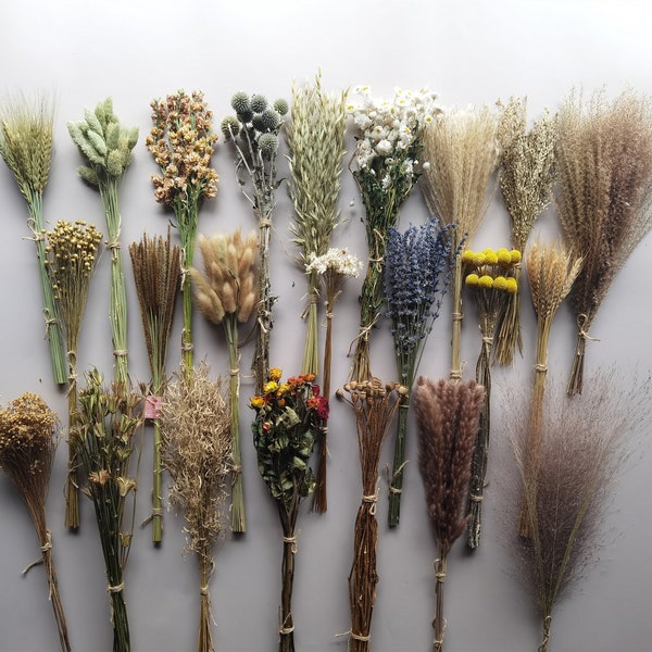 Dried Flowers - Etsy