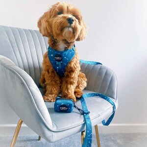 Tealin Cute Dog Harness, Dog Harness, Teal Adjustable Dog Harness ...