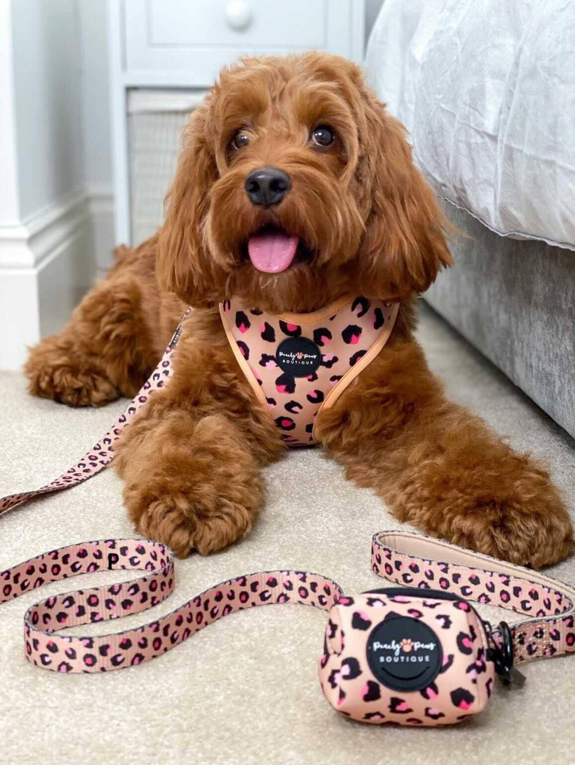 Luxe Leopard Print Dog Harness Dog Harness Adjustable Dog | Etsy