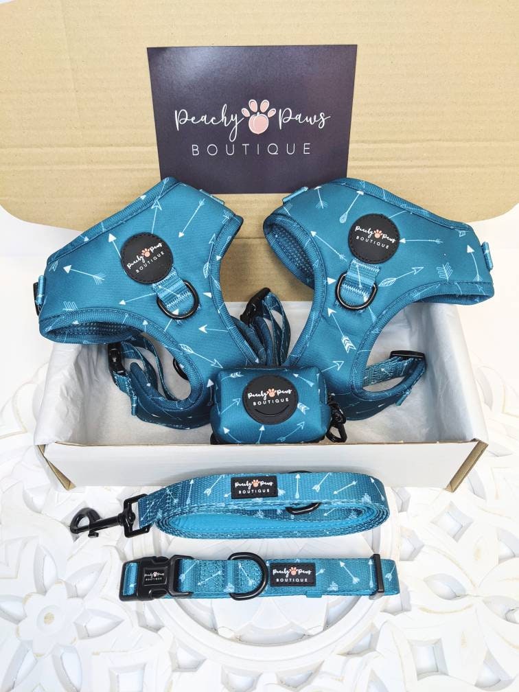 Tealin Cute Dog Harness Dog Harness Teal Adjustable Dog - Etsy UK