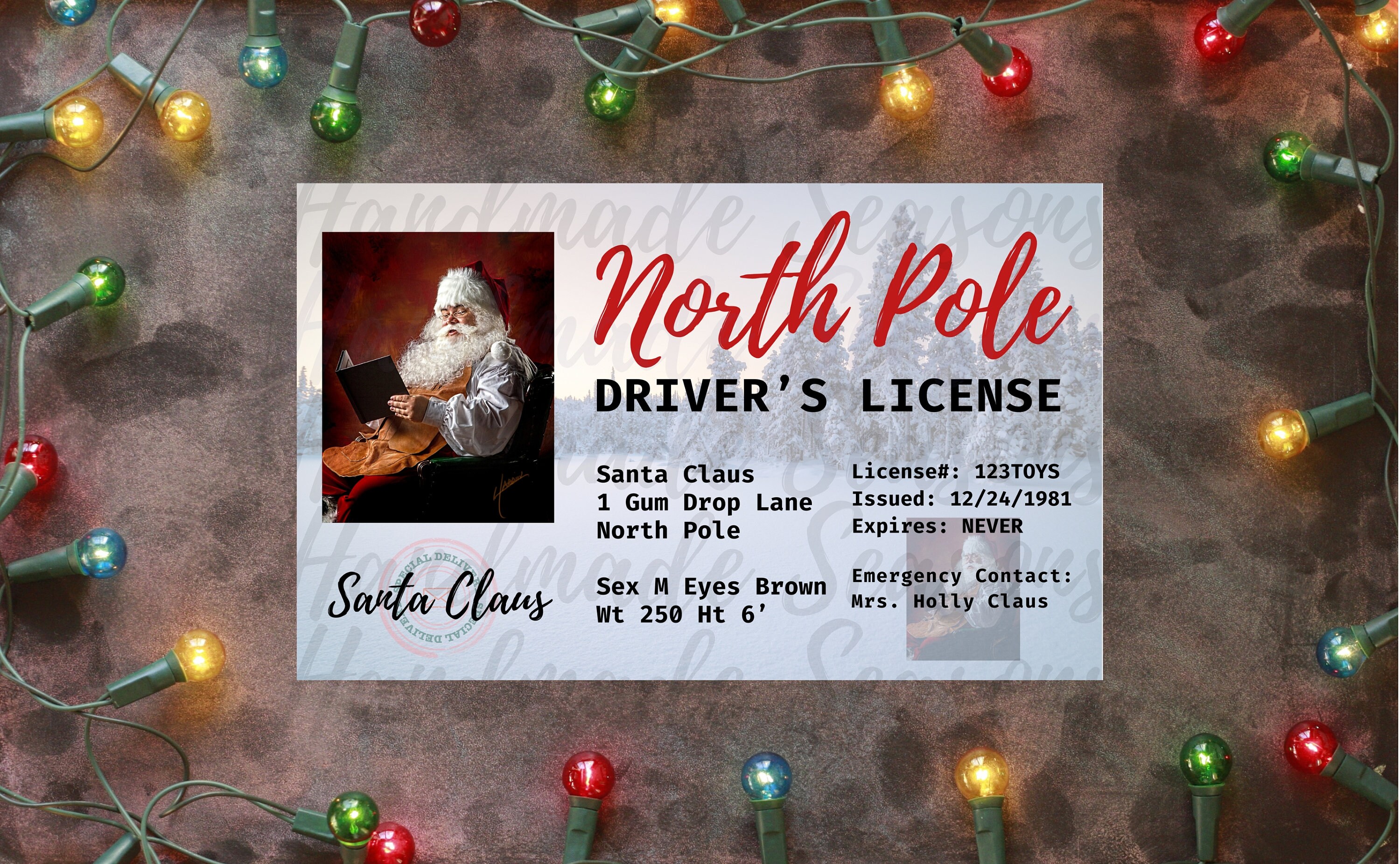 Santa Driver's License Digital Download PNG - Etsy